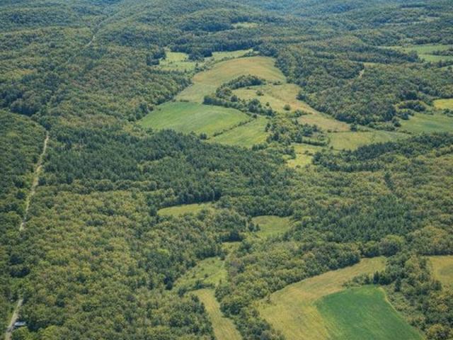 Garfield Lodiburg Rd, Harned, KY 40144