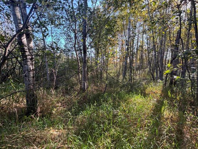 Garfield St, Cloquet, MN 55720 | MLS #7058