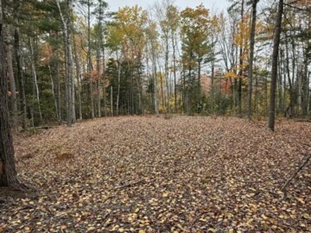 Garland Rd Lot,ellsworth, Plot For Sale