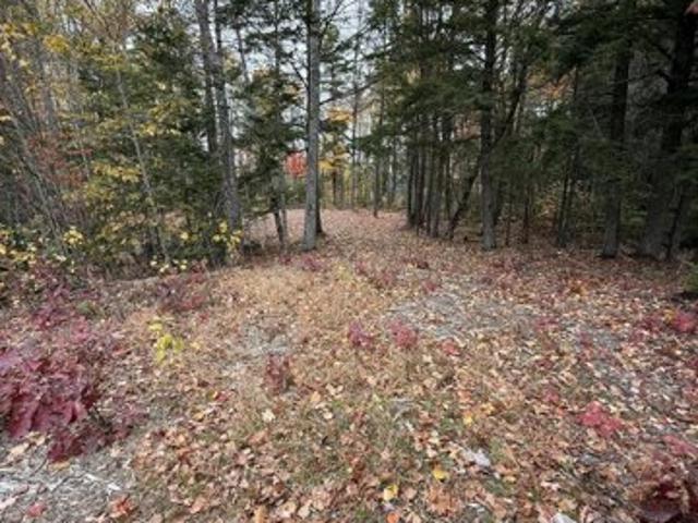 Garland Rd Lot,ellsworth, Plot For Sale