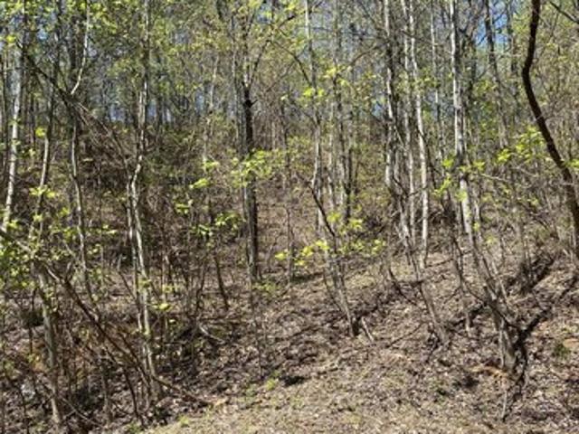 Garnet Trl Lot 549, New Tazewell, TN 37825