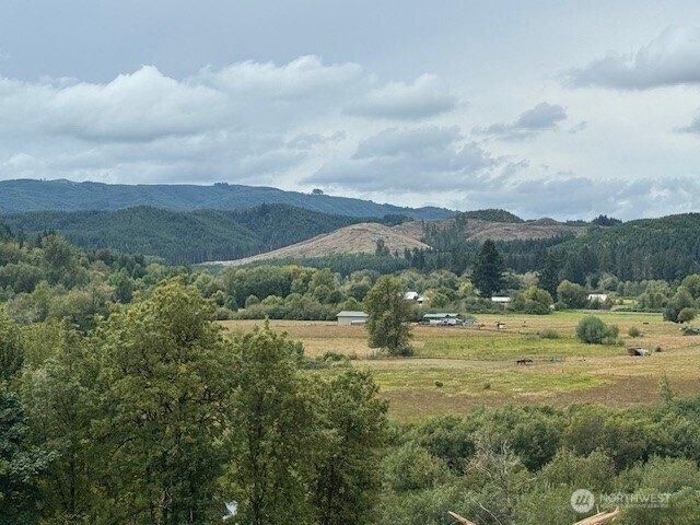 Garrard Creek Rd, Oakville, WA 98568