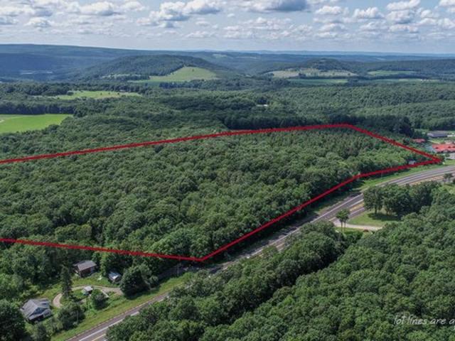 Garrett Hwy, McHenry, MD 21541