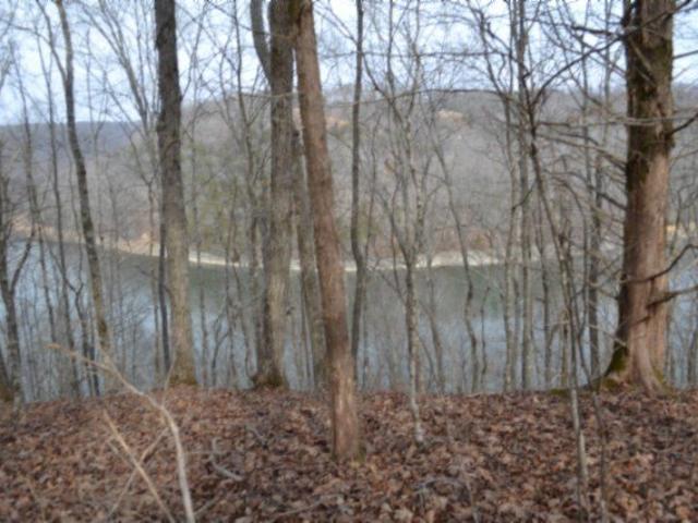 Garrett Town Ln, Monroe, TN 38573