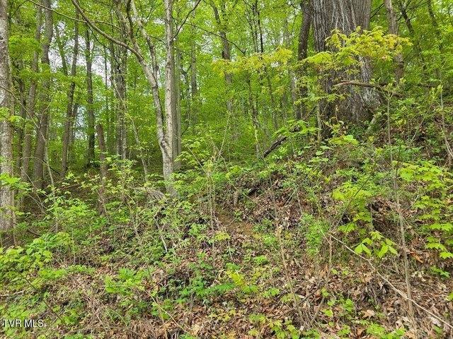 Garrison Holw, Elizabethton, TN 37643
