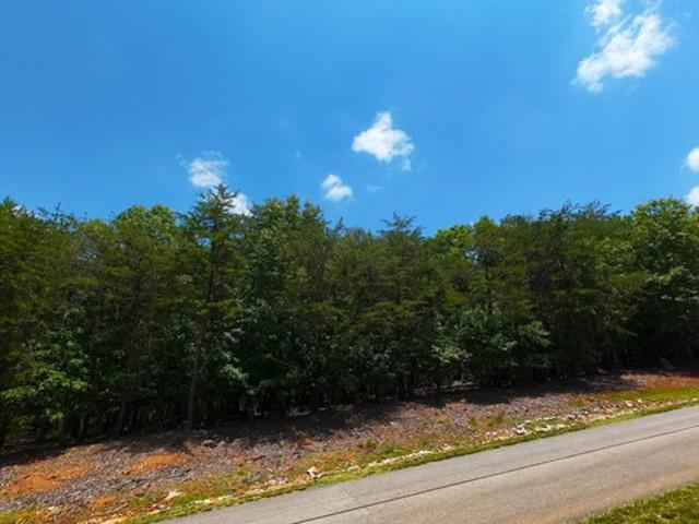 Garrison Rdg Lot 61, Pittsville, VA 24139