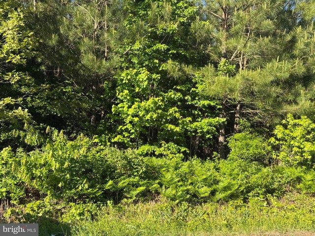 Gaskins Beach Rd, Reedville, VA 22539