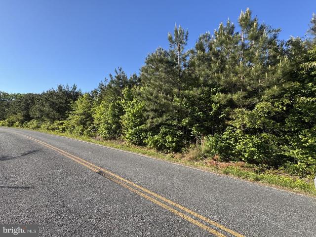 Gaskins Beach Road