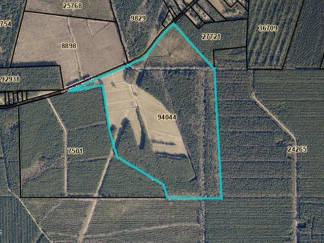 Gaskins Rd, Grimesland, NC 27837