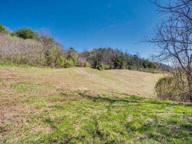 Gate City VA 24251 103605012