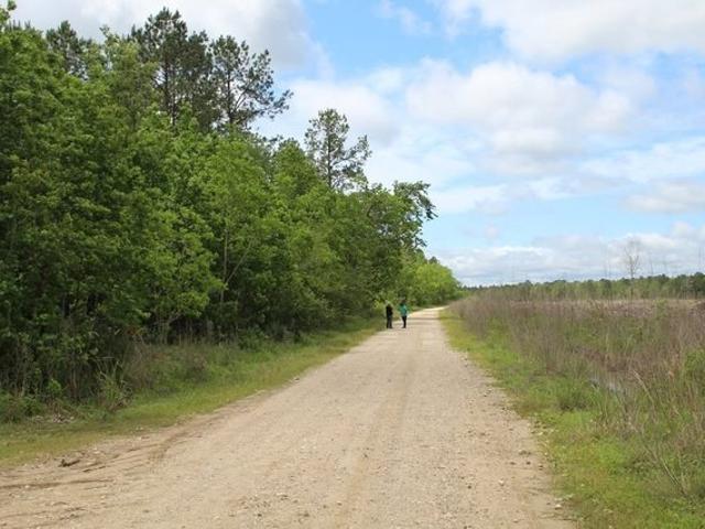 Gates, Devers, TX 77538