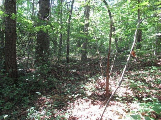 Gauley Falls Rd, Pickens, SC 29671