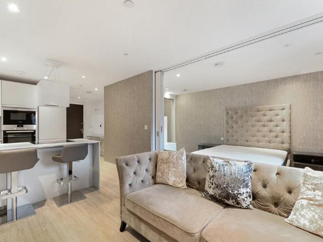 Gaumont Place, SW2 Studio to rent £1,750 pcm £404 pw