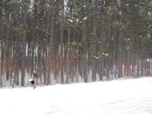 Gaylord, MI, Otsego County Land/Lot for Sale