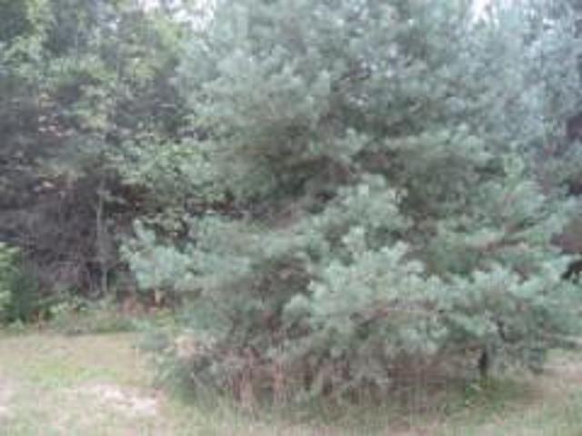 Gaylord, MI, Otsego County Land/Lot for Sale