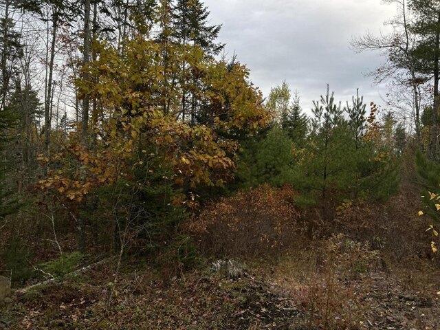 Genthner Rd, Waldoboro, Plot For Sale