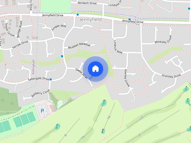 Gentian Glade, Harrogate, North Yorkshire, UK, HG3