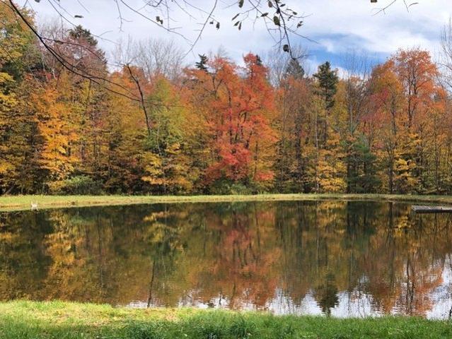 Gentian Hollow Rd, Becket, MA 01223