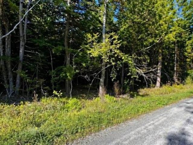 Gentian Hollow Rd, Becket, Plot For Sale