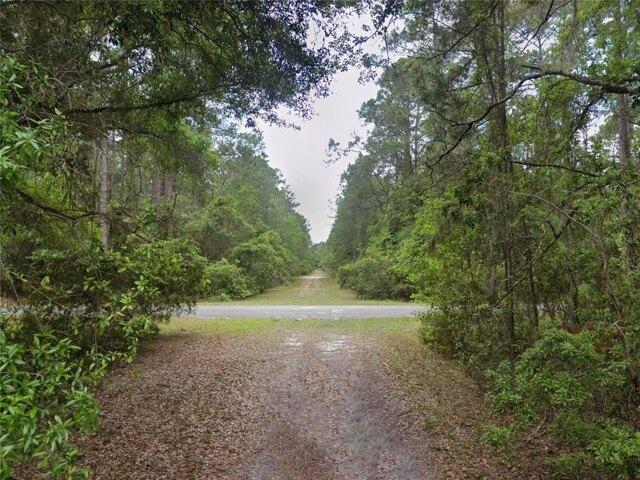 Georgetown FL 32139 89420584