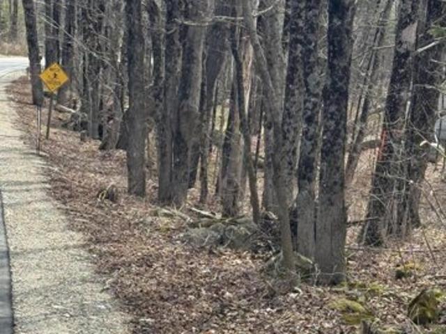 George Schnopp Rd, Hinsdale, Plot For Sale