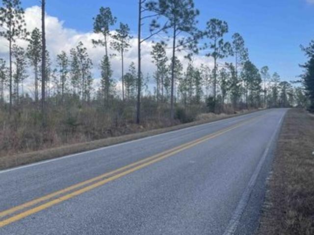 George Thomley Rd, Perdido, AL 36562