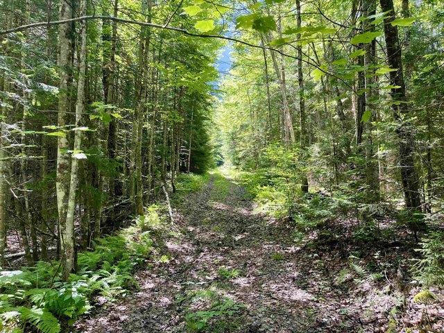 Georges Blvd, East Haven, VT 05837