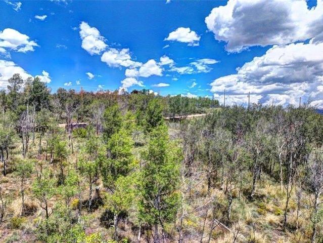Georgia Dr Lot 5A, Jefferson, CO 80456