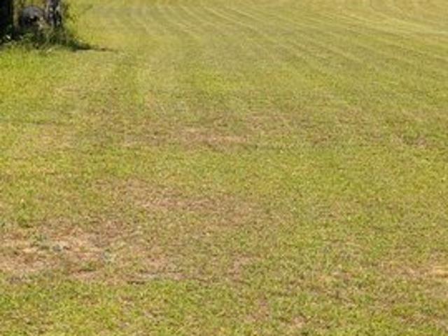 Georgia Rd, Butler, GA 31006