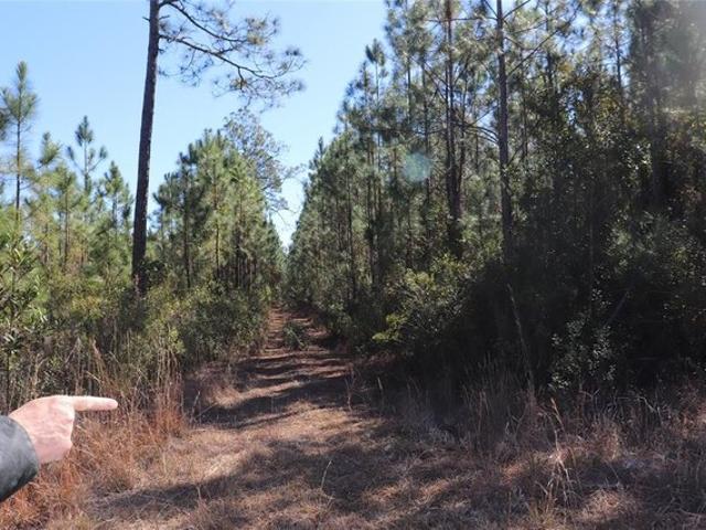 Georgia St, Hilliard, FL 32046