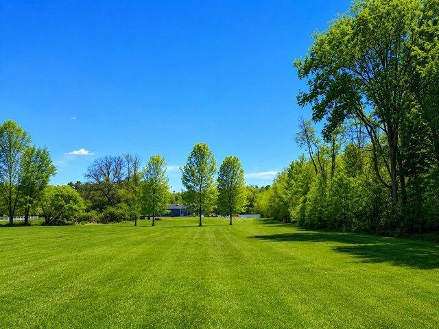 Georgia Shore Rd Lot, Georgia, Plot For Sale