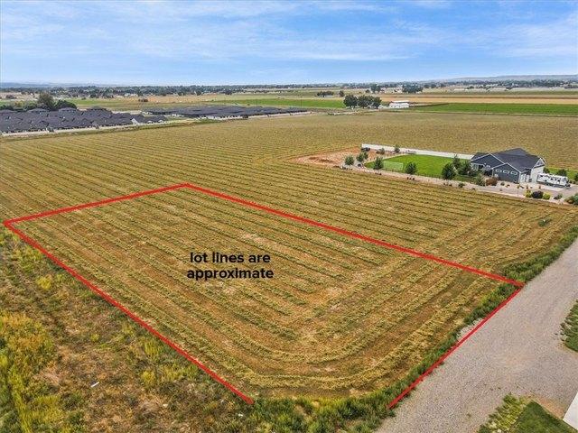 Georgina, Billings, MT 59106