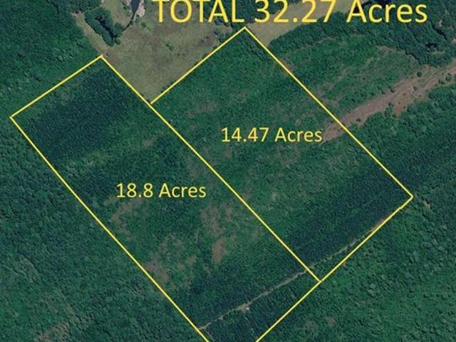 Geathers Rd, McClellanville, SC 29458