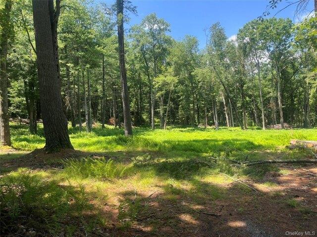Geba Dr, Glen Spey, Plot For Sale