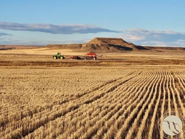 Gee Rd, Rapelje, MT 59067