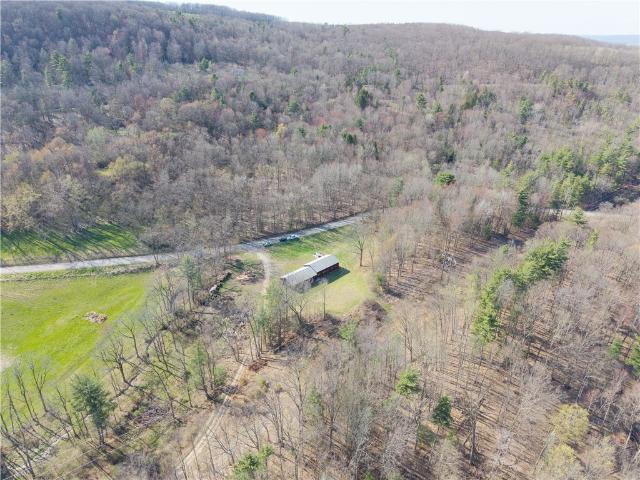 Geiger Rd, Dansville, NY 14437 | MLS #R1669