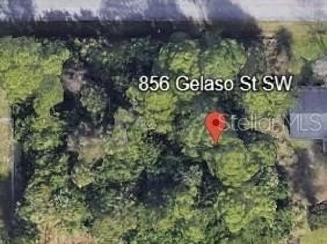 Gelaso St Sw, Palm Bay, Plot For Sale