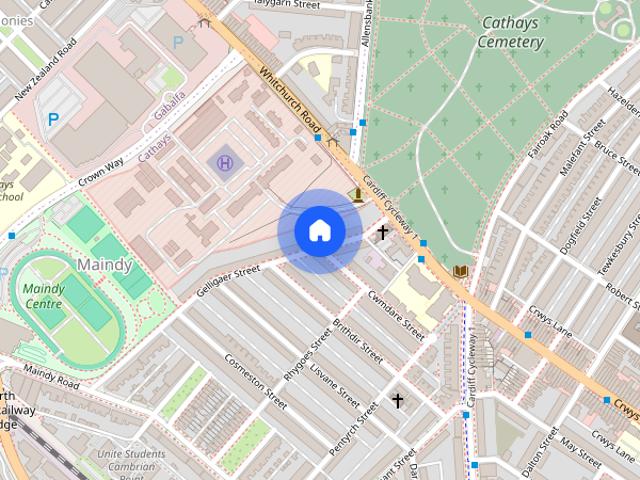 Gelligaer Street Cardiff