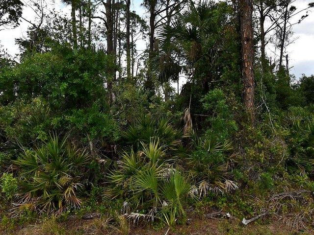 Geloso Ave, North Port, FL 34288