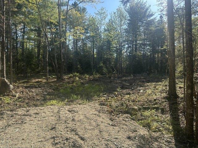 Gerards Trl, Blue Hill, Plot For Sale