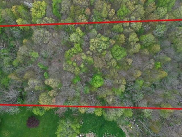 Gerber Rd, Clifford Township, PA 18470