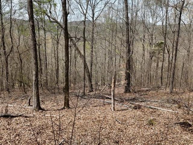 Geren Subd Ln, Decatur, TN 37322