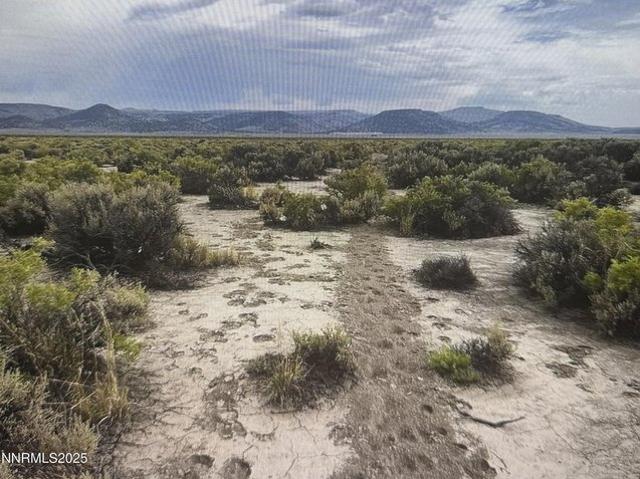 Gerlach, NV 89412