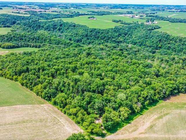 German Ridge Rd, Warren, MN 55987