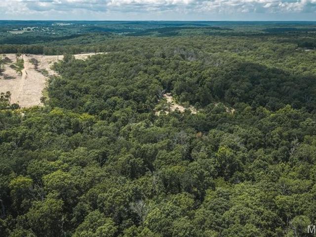 Geronimo Springs Rd # 4, Macks Creek, MO 65786