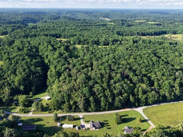 Gimlet Creek Rd, Lawrenceburg, TN 38464