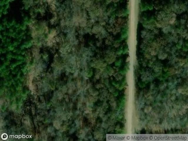 Gin Pond Dr