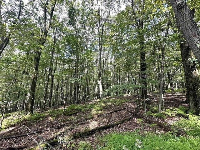 Ginger Ct Lot 87, Terra Alta, WV 26764