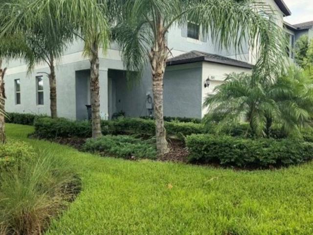 Ginger Lily Ct, Tampa, Home For Sale