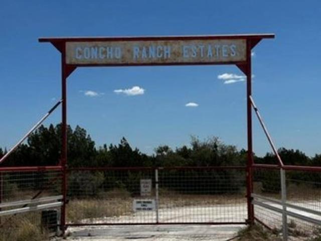 Ginger Trl Unit 1, Paint Rock, TX 76866